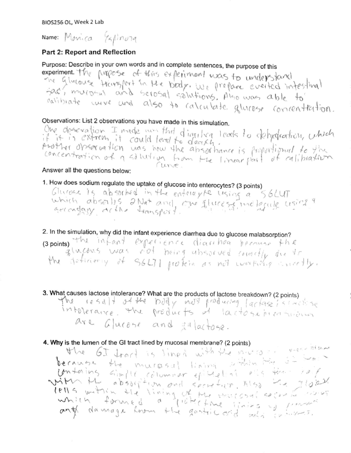 Bios 256 lab - Notes - bios251 - Chamberlain University - Studocu