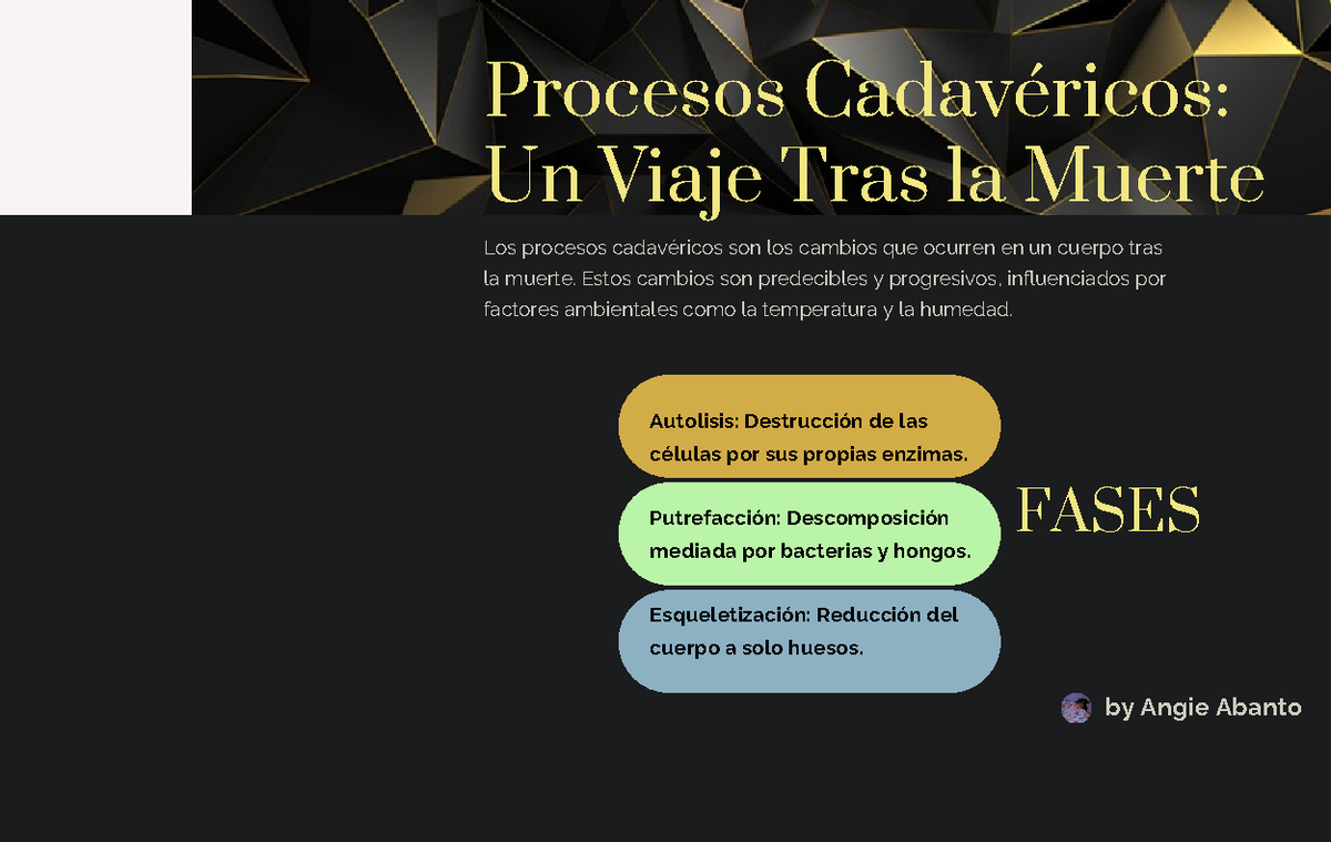 Mmkmk - oipio - Procesos Cadavéricos: Un Viaje Tras la Muerte Los ...