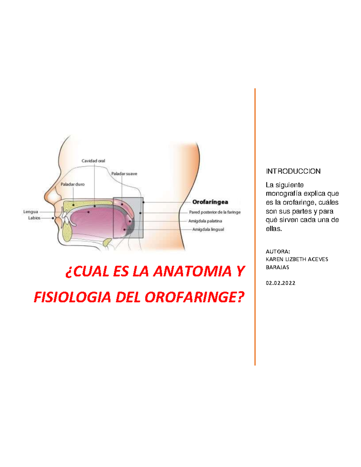 Monografía de la orofaringe. TAE fisiología de la digestión - ¿CUAL ES ...