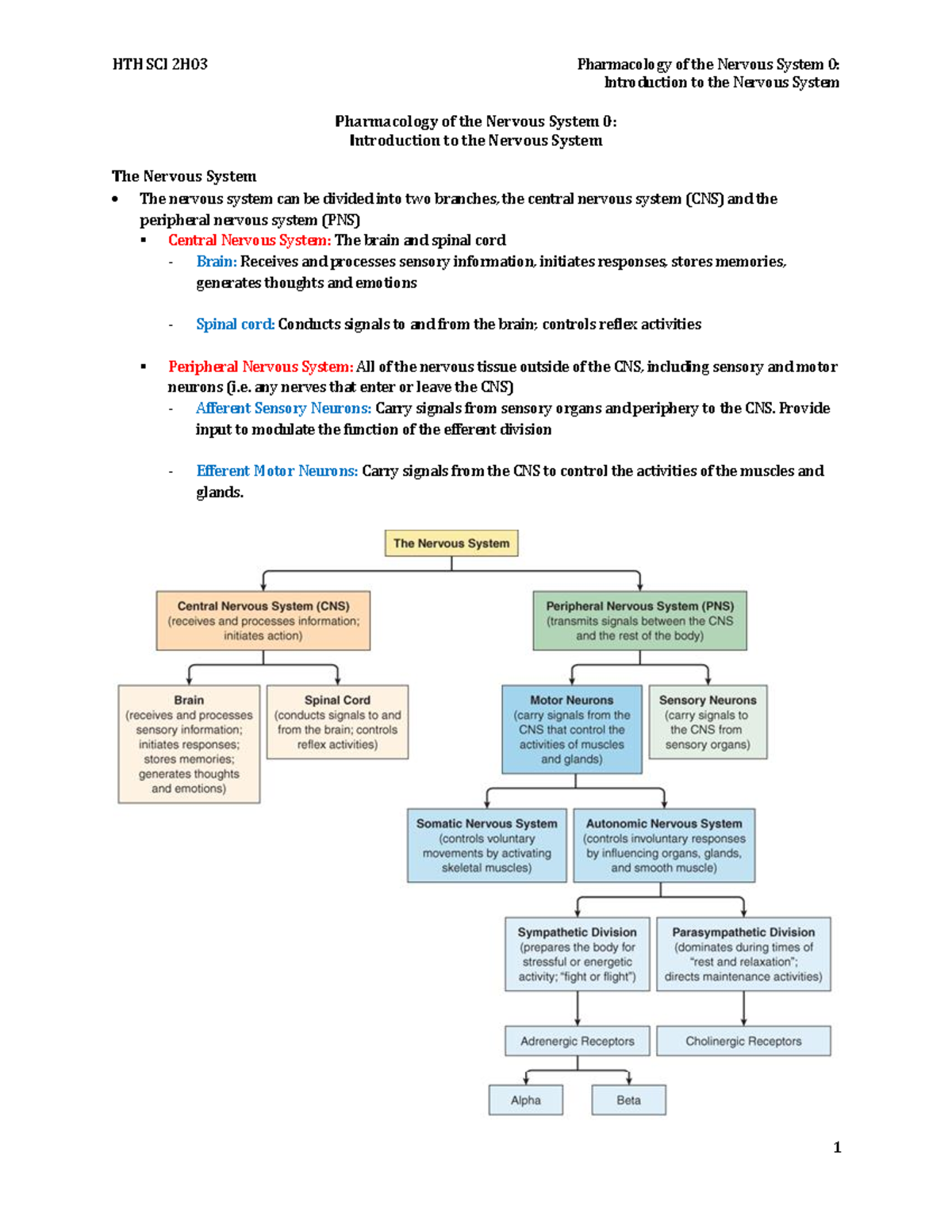 Lecture Notes, Lecture 14, Nervous System 1-5 - HTH SCI 2H03 ...
