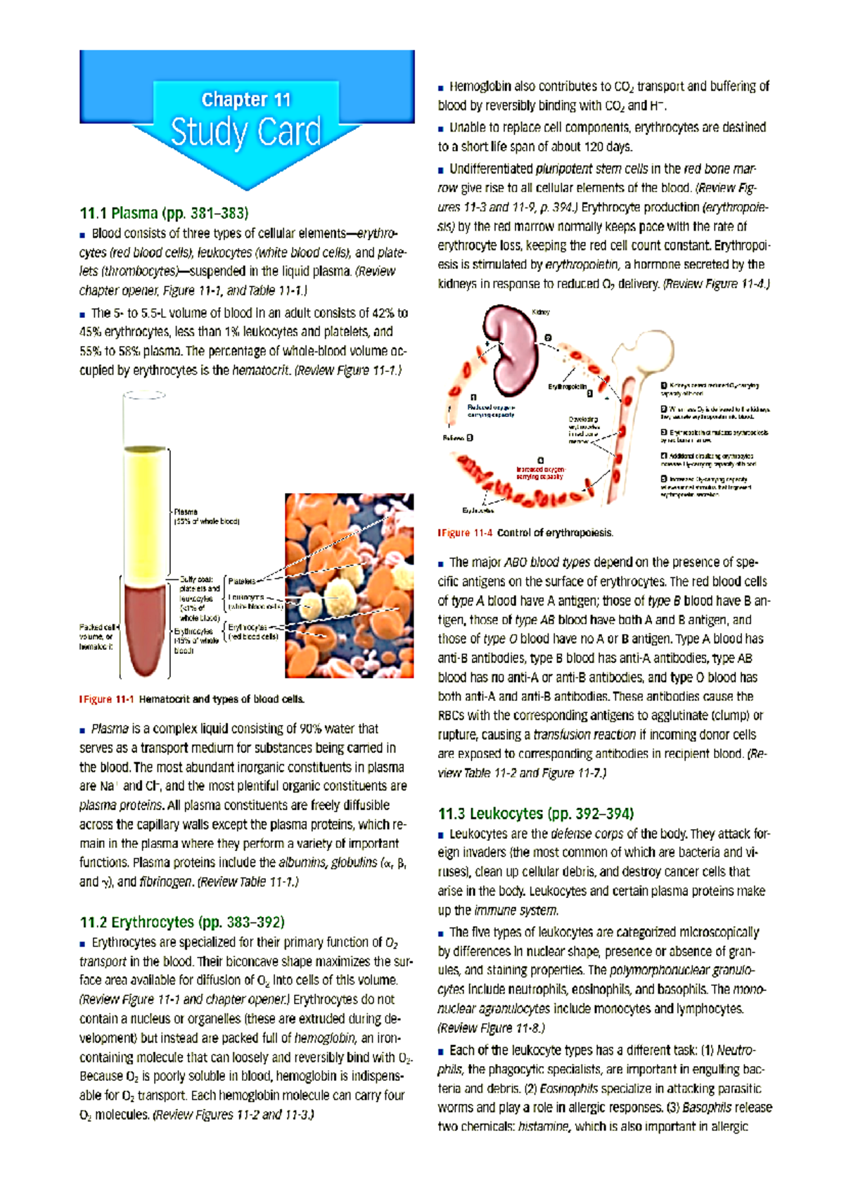 Sherwood blood study cards - Musculoskeletal Physiotherapy - Studocu