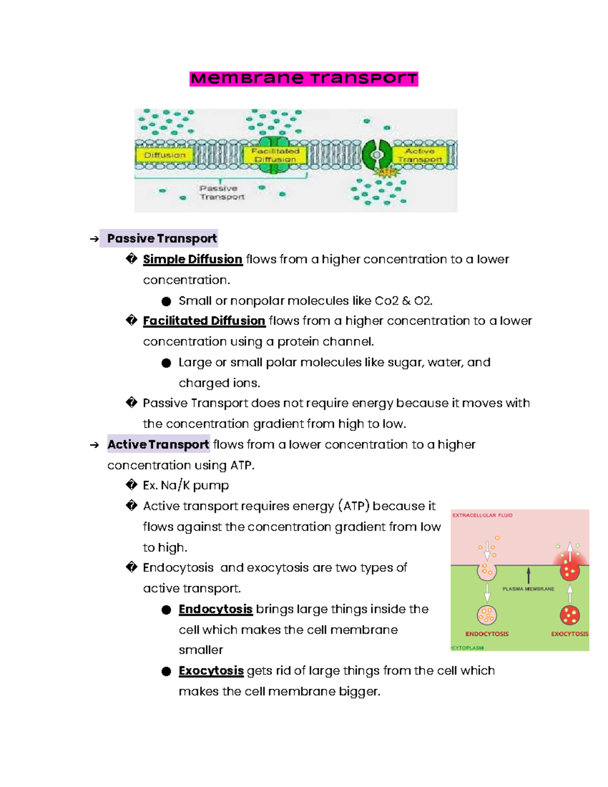 Membrane Transport - Membrane Transport Passive Transport 🠀 Simple ...