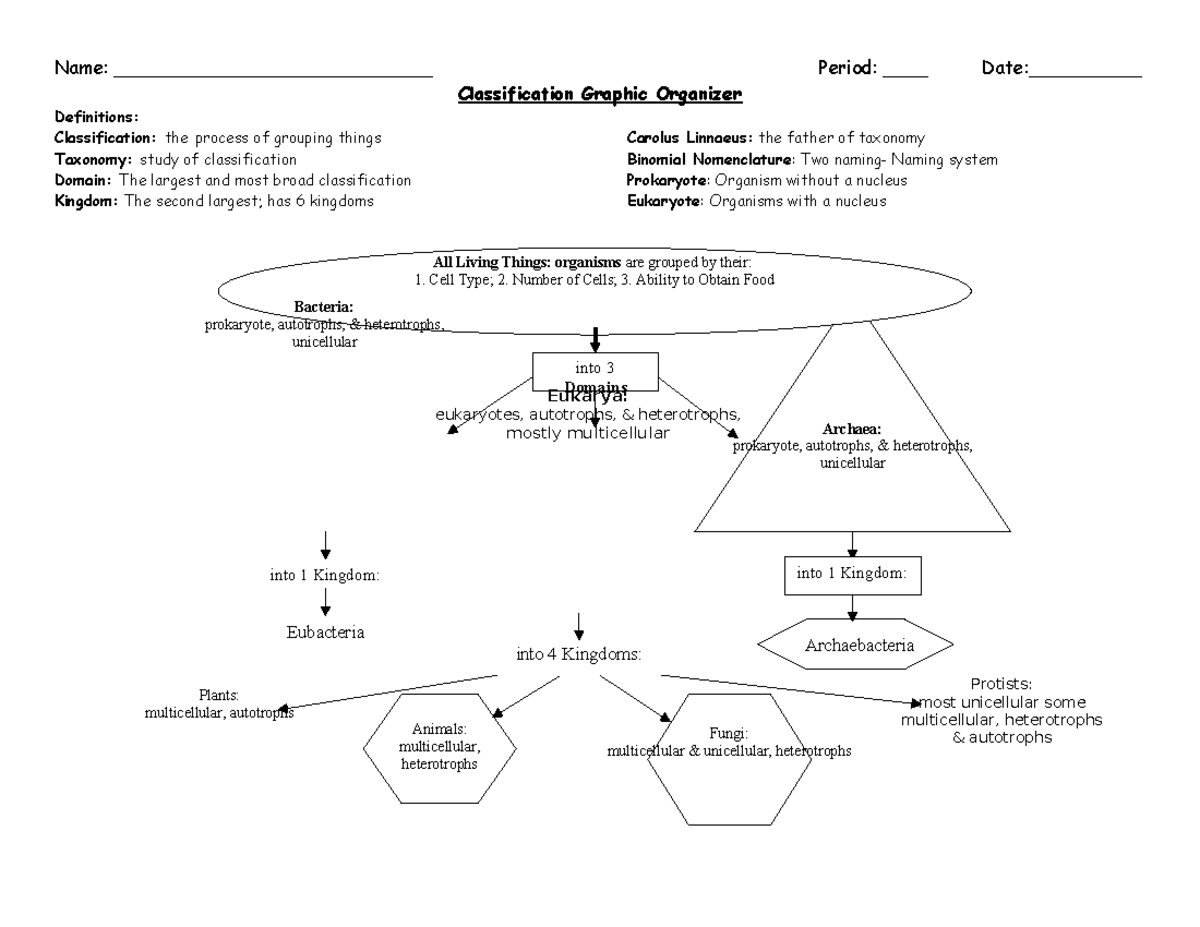 Classification Graphic Organizer Answers - Animals: multicellular ...