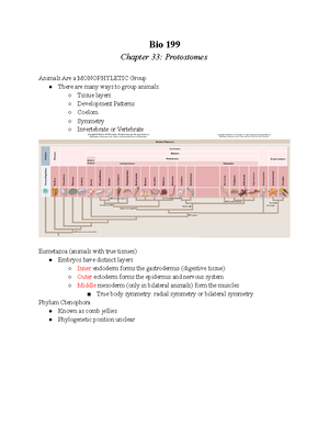 Bio 199: Chapters 48 and 51 - Circulatory System and Reproductive ...
