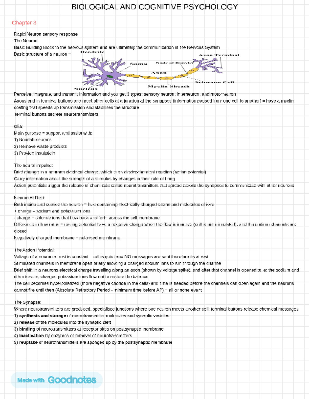 SLK lecture notes - BIOLOGICAL AND COGNITIVE PSYCHOLOGY Chapter 3 Rapid ...