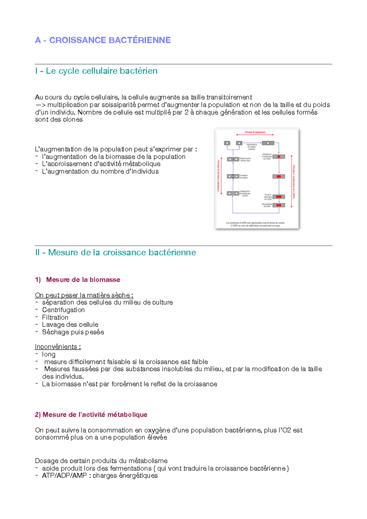 Croissance microbienne - A - CROISSANCE BACTÉRIENNE I - Le cycle ...