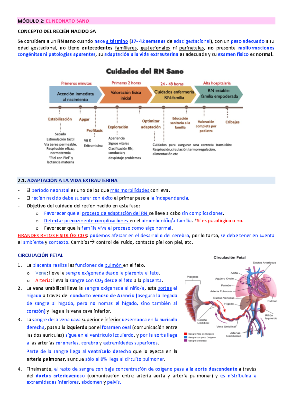 Apuntes Infancia Y Adolescencia - MÓDULO 2: EL NEONATO SANO CONCEPTO ...