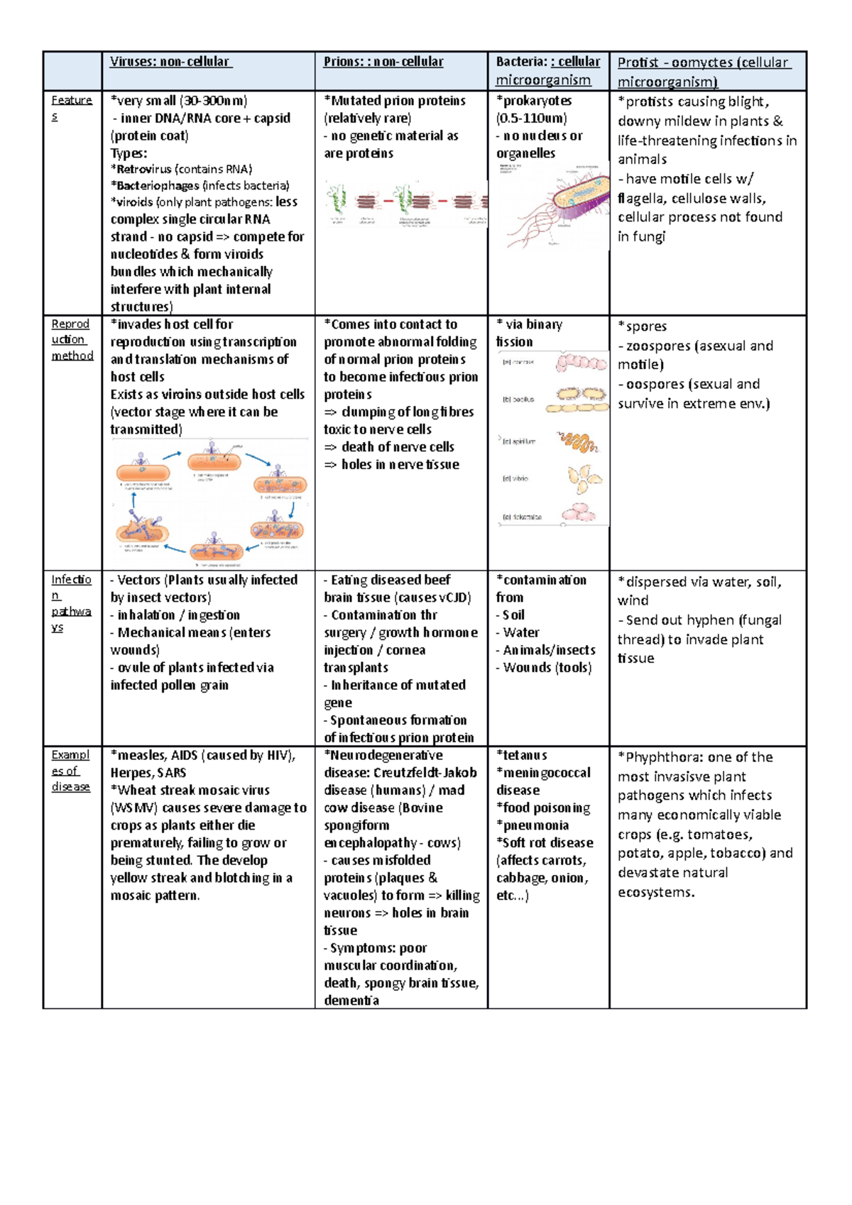 Biology mod 7 pathogen table - Viruses: non-cellular Prions: : non ...