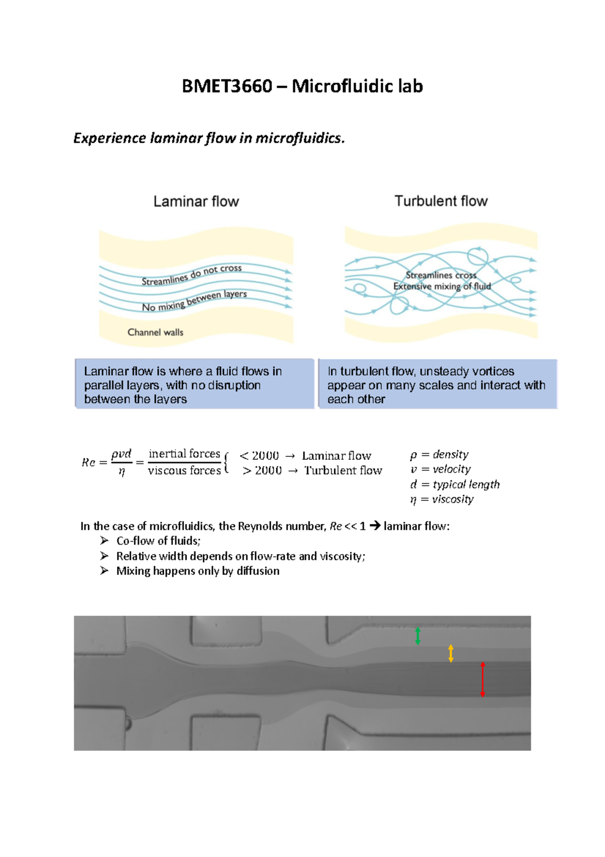 BMET3660 - 2023 - Lab 4 Microfluidics - BMET3660 – Microfluidic lab ...