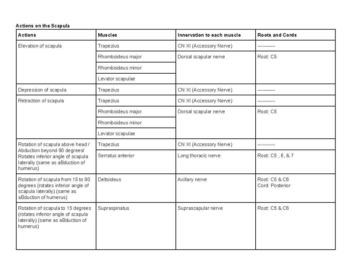 Actions of Muscles Table-2 - Actions on the Scapula Actions Muscles ...