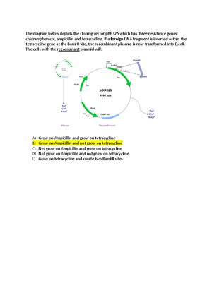 Neuro tut transcript - tutorial script - Transcript - Anatomy of the ...