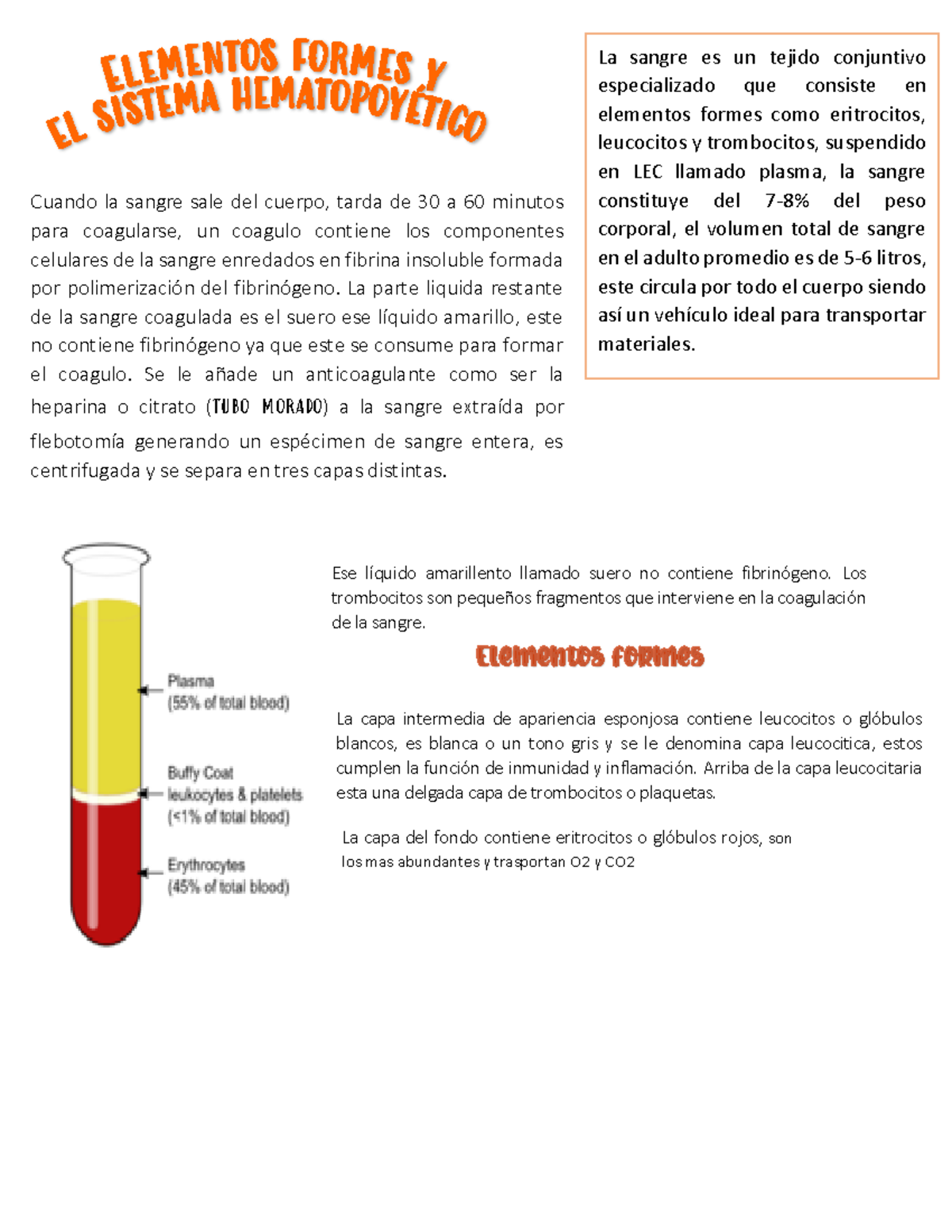 Elementos formes de los eritrocitos - Cuando la sangre sale del cuerpo ...