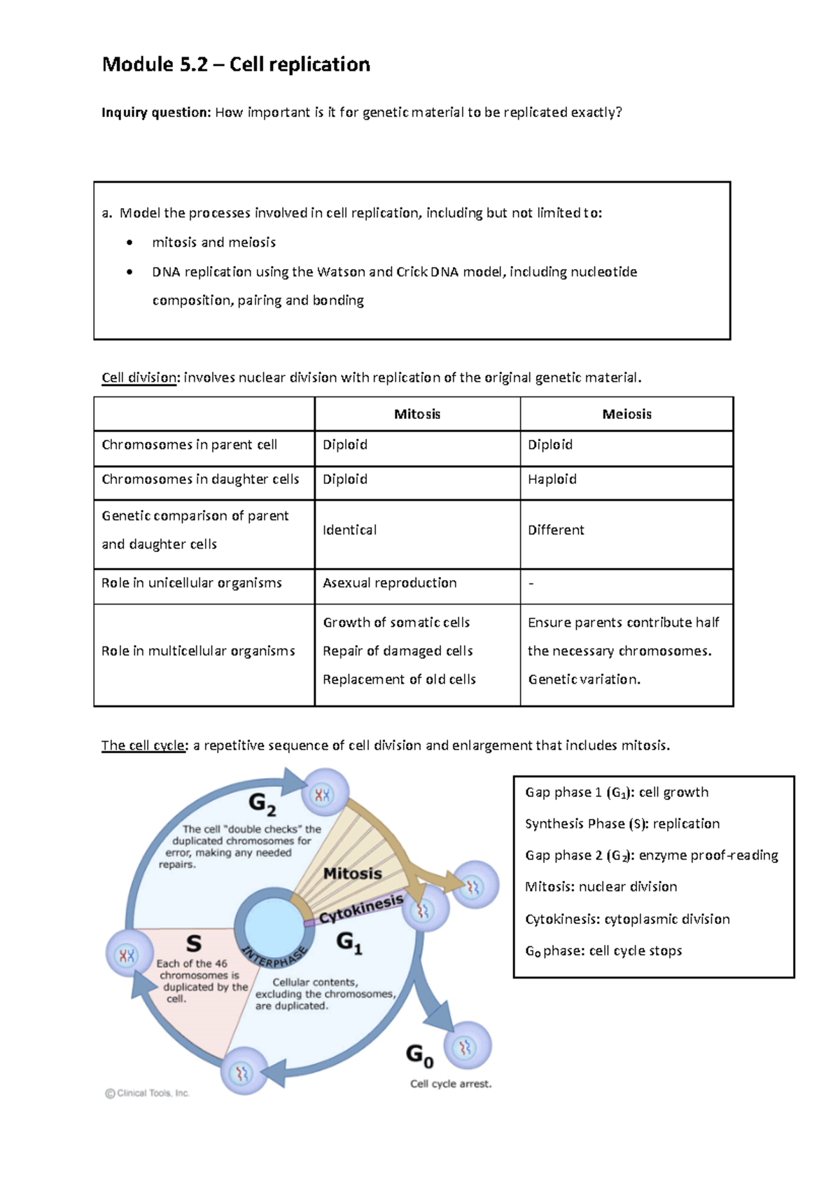 5.2 - Cell Replication - Biology notes - Module 5 – Cell replication ...