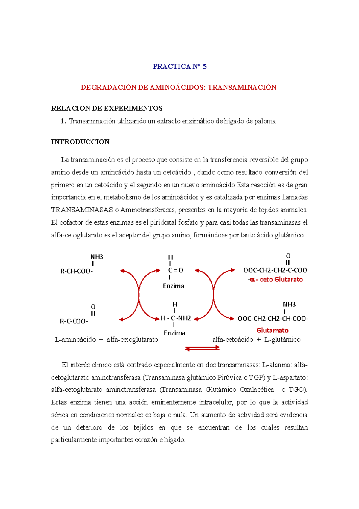 Practica 10 metabolismo de aminoacidos transaminacion de un higado de ...