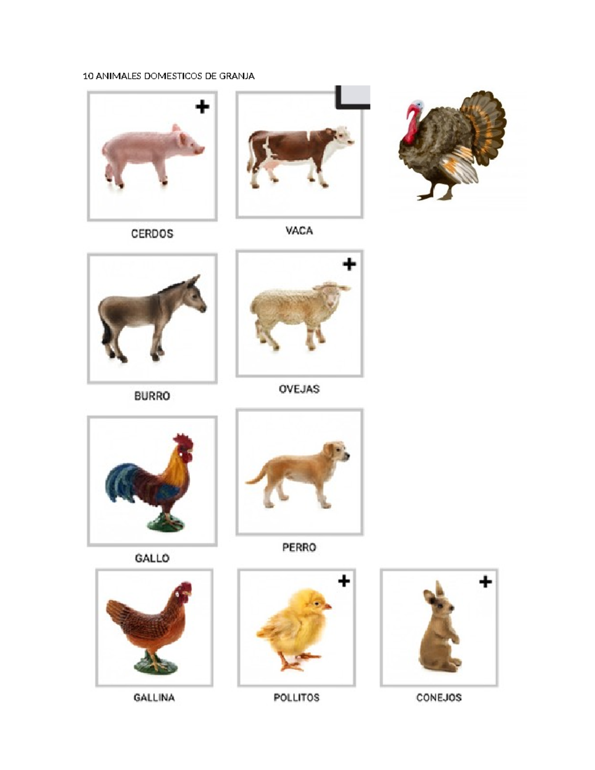 10 Animales Domesticos DE Granja - Biologia General - 10 ANIMALES ...