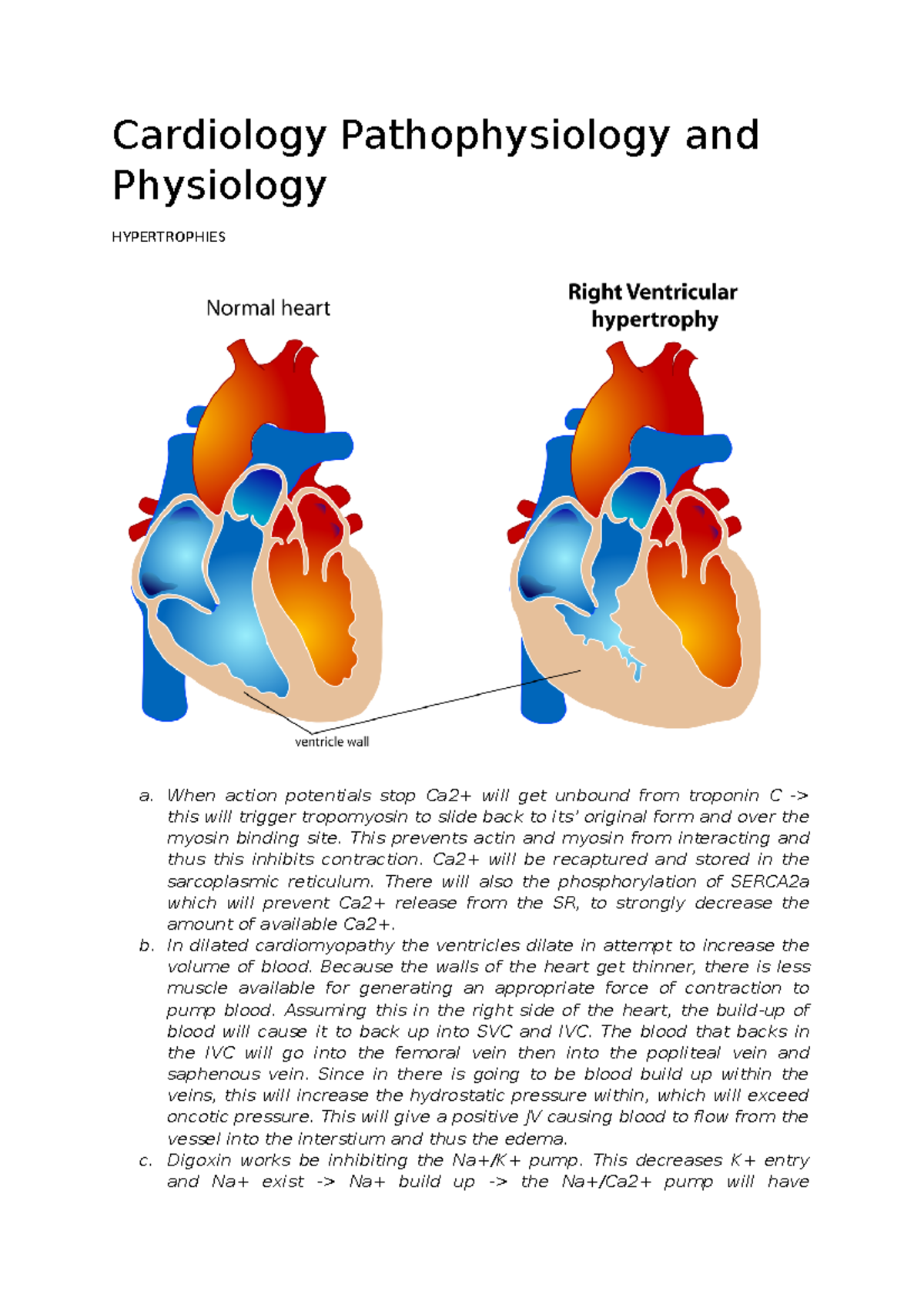 Cardiology Pathophysiology and Physiology - Cardiology Pathophysiology ...