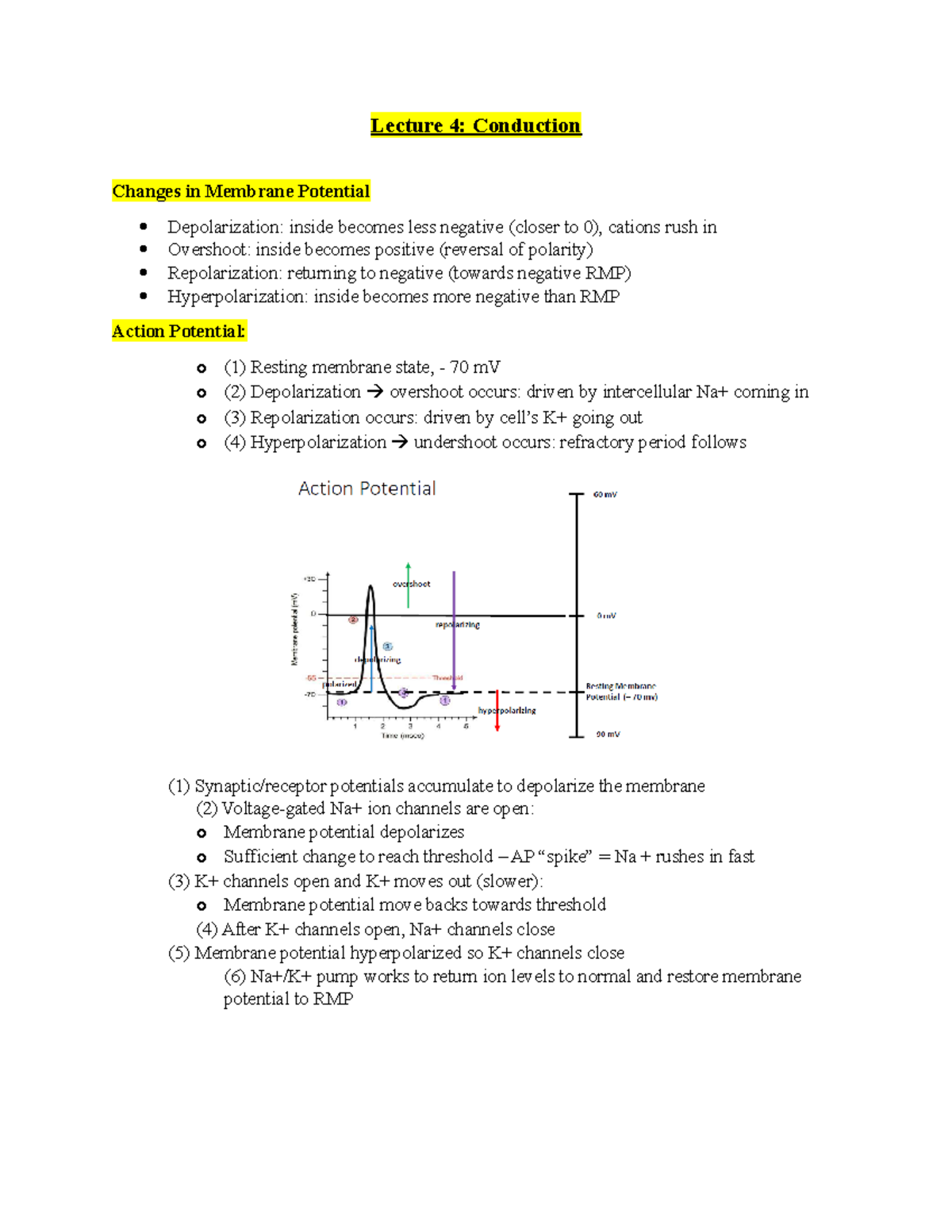 Lecture 04 Notes - Conduction - nsci200 - Concordia - Studocu