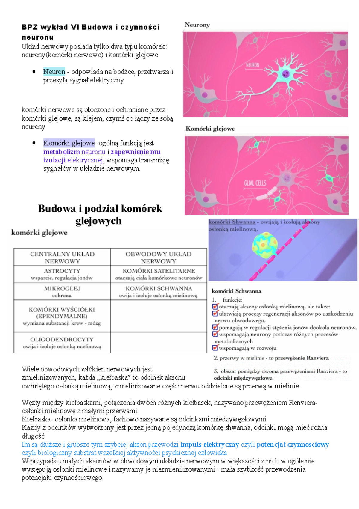 BPZ Budowa i czynności neuronu - BPZ wykład VI Budowa i czynności ...
