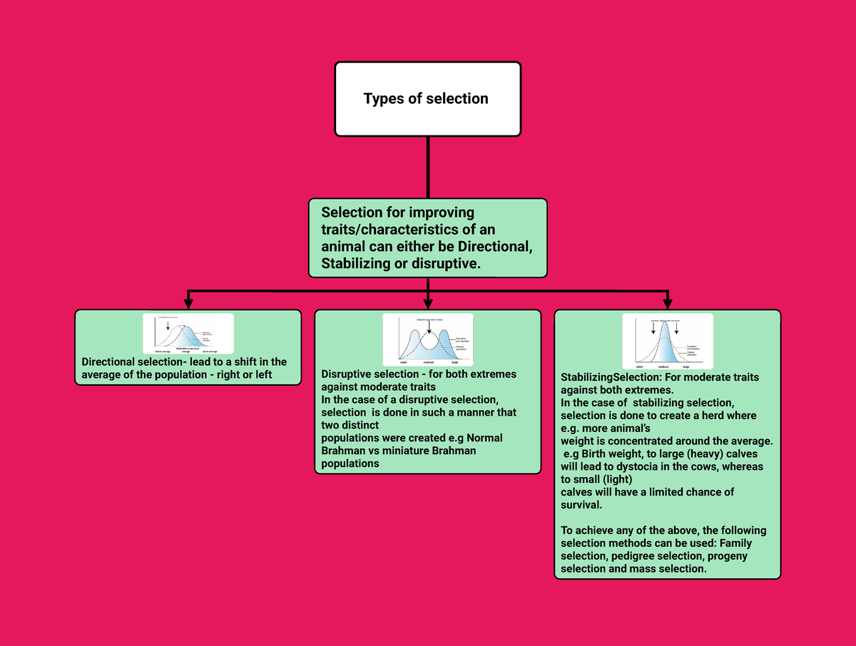 Types of selection 202430 203710 - Selection for improving traits ...