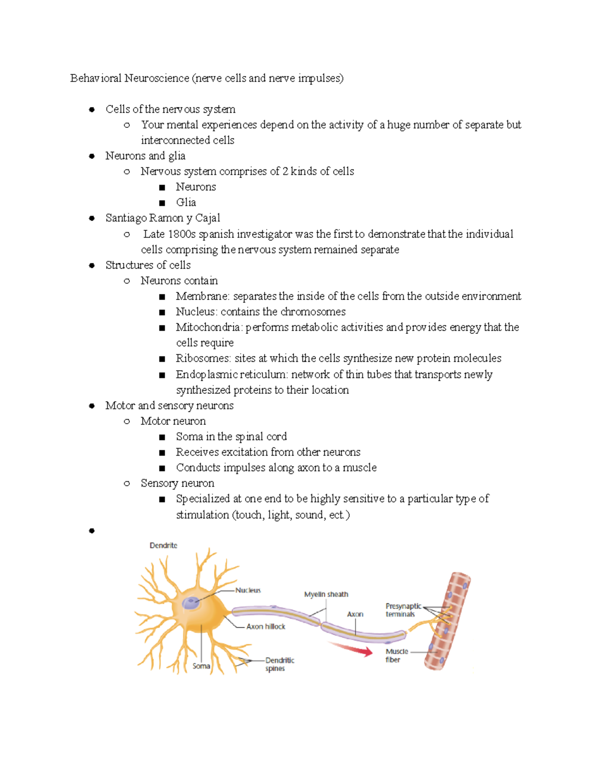 Behavioral neuroscience nerve cells and nerve impulses - ) Components ...