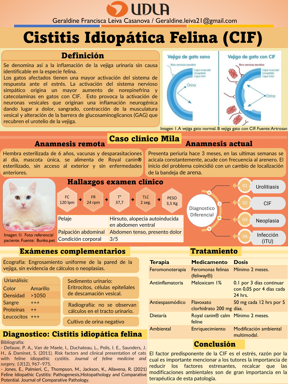 Plantilla póster - cistitis idiopática felina - Cistitis Idiopática ...