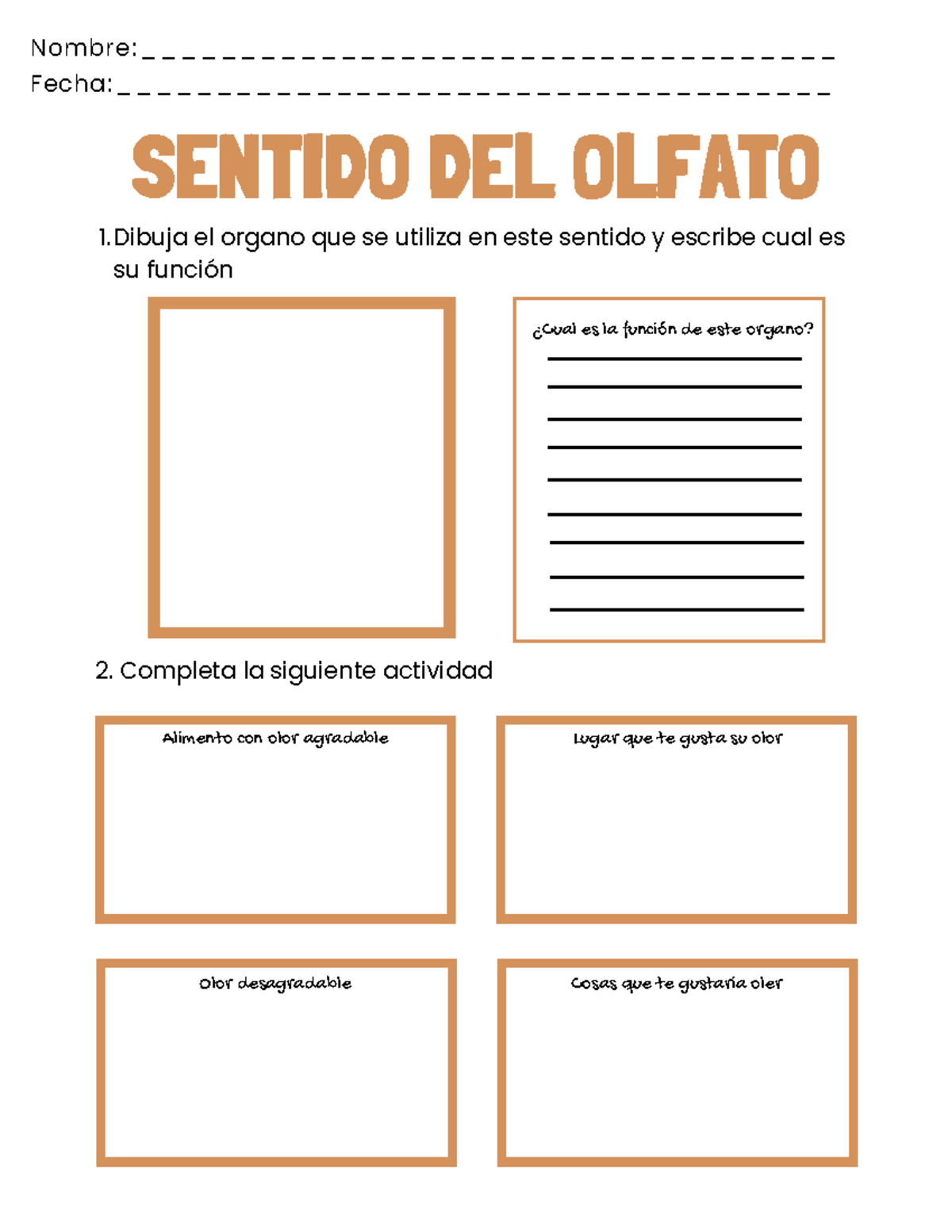 Sentido del olfato - identifica los olores - ciencias naturales 3ro ...