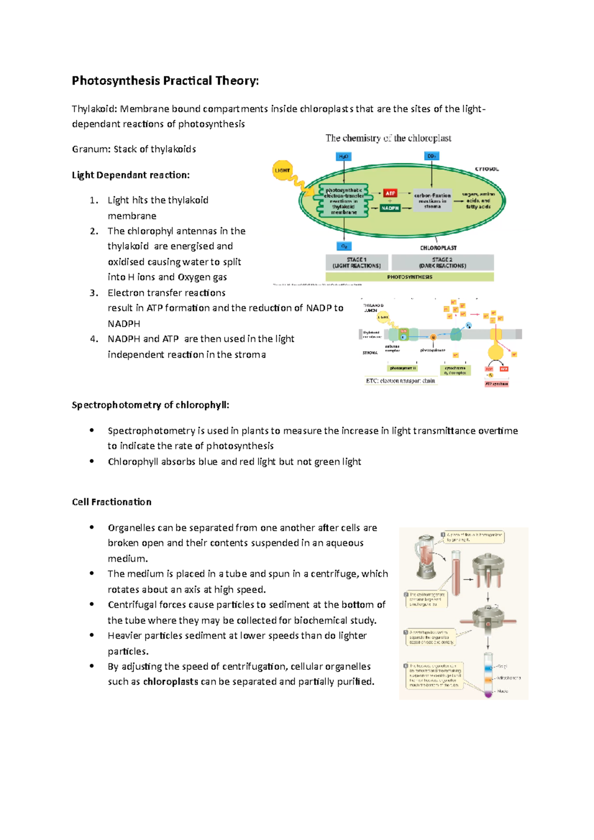 Photosynthesis Practical Theory - Photosynthesis Practical Theory ...