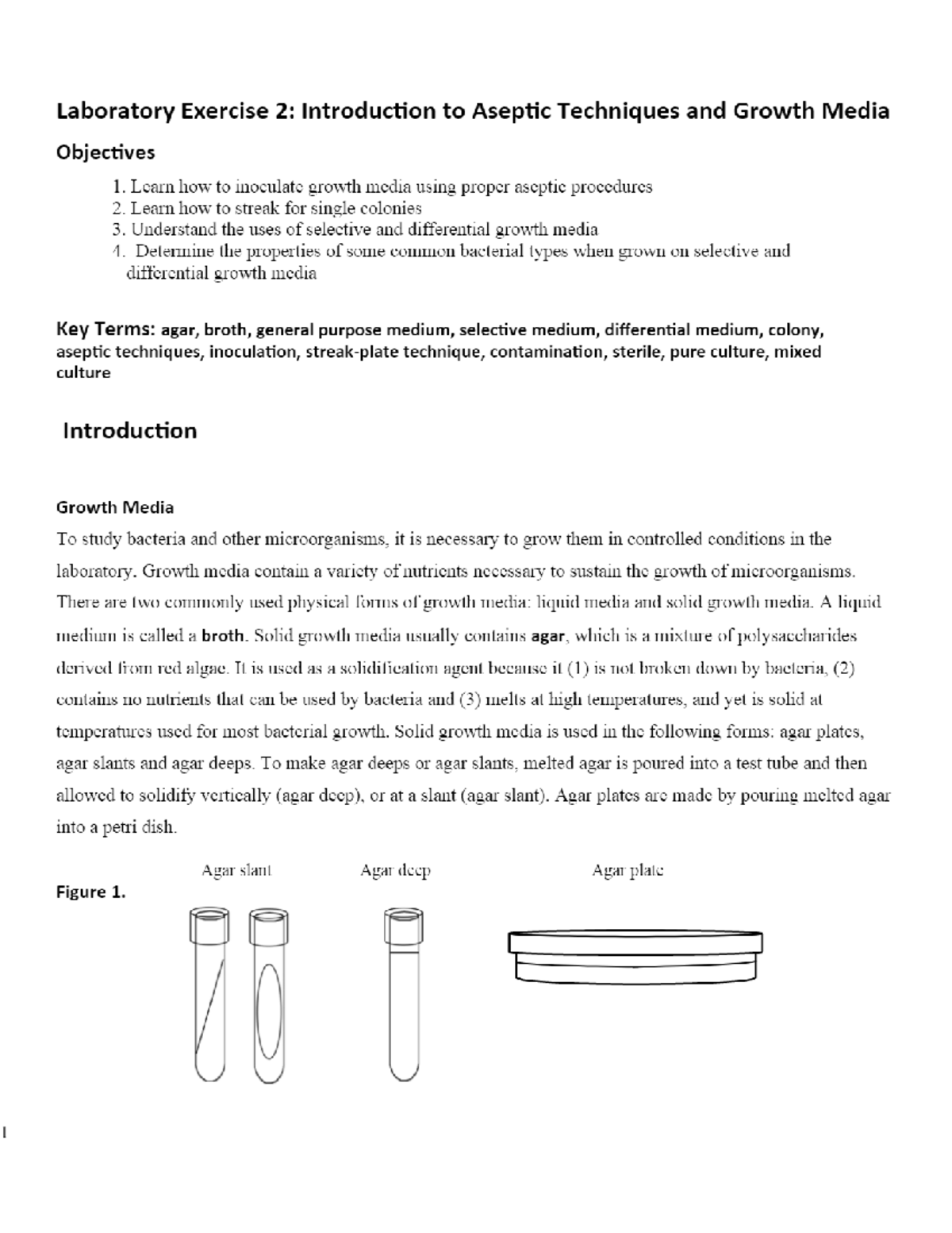 Laboratory Exercise 2 - BIOS-3120-560 - Microbiology - BIOS 3120 - Studocu