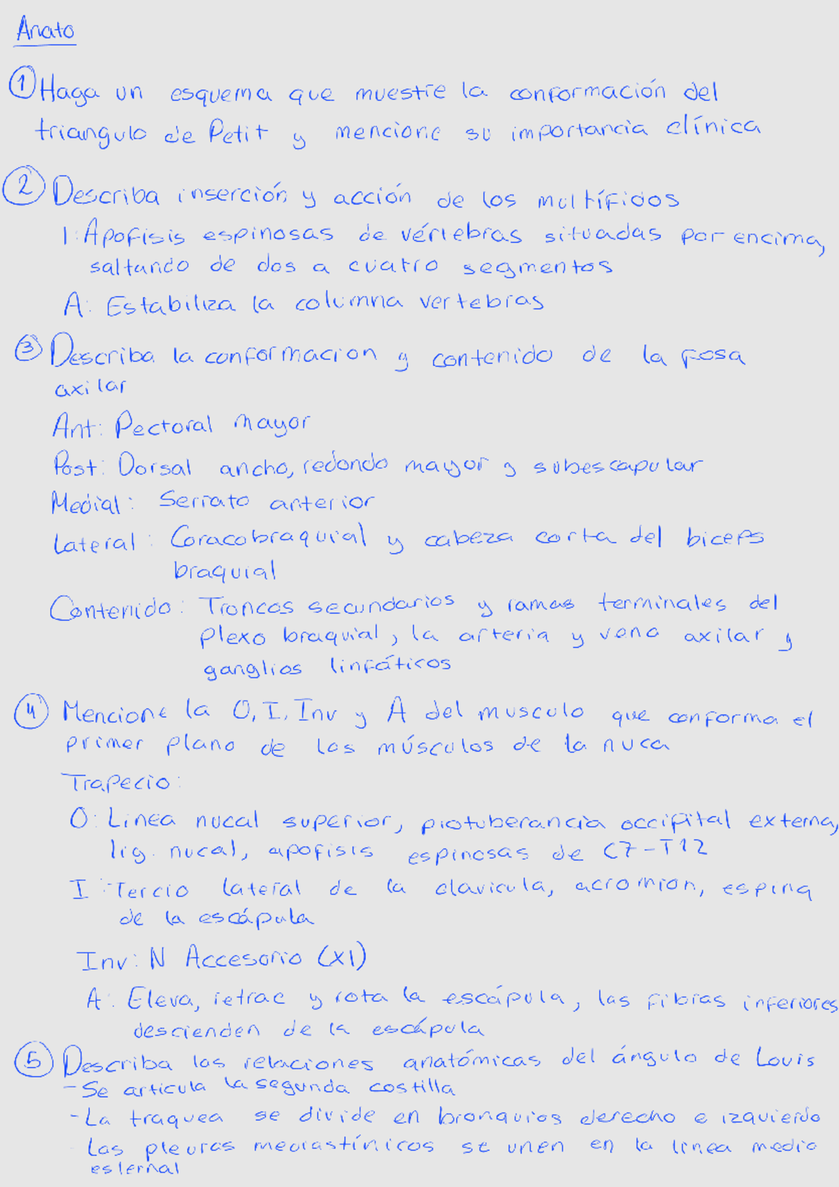 Banqueo Anatomia - Anato 1 Haga un esquema ave muestre la conformacion del triangulo de Petit y ...
