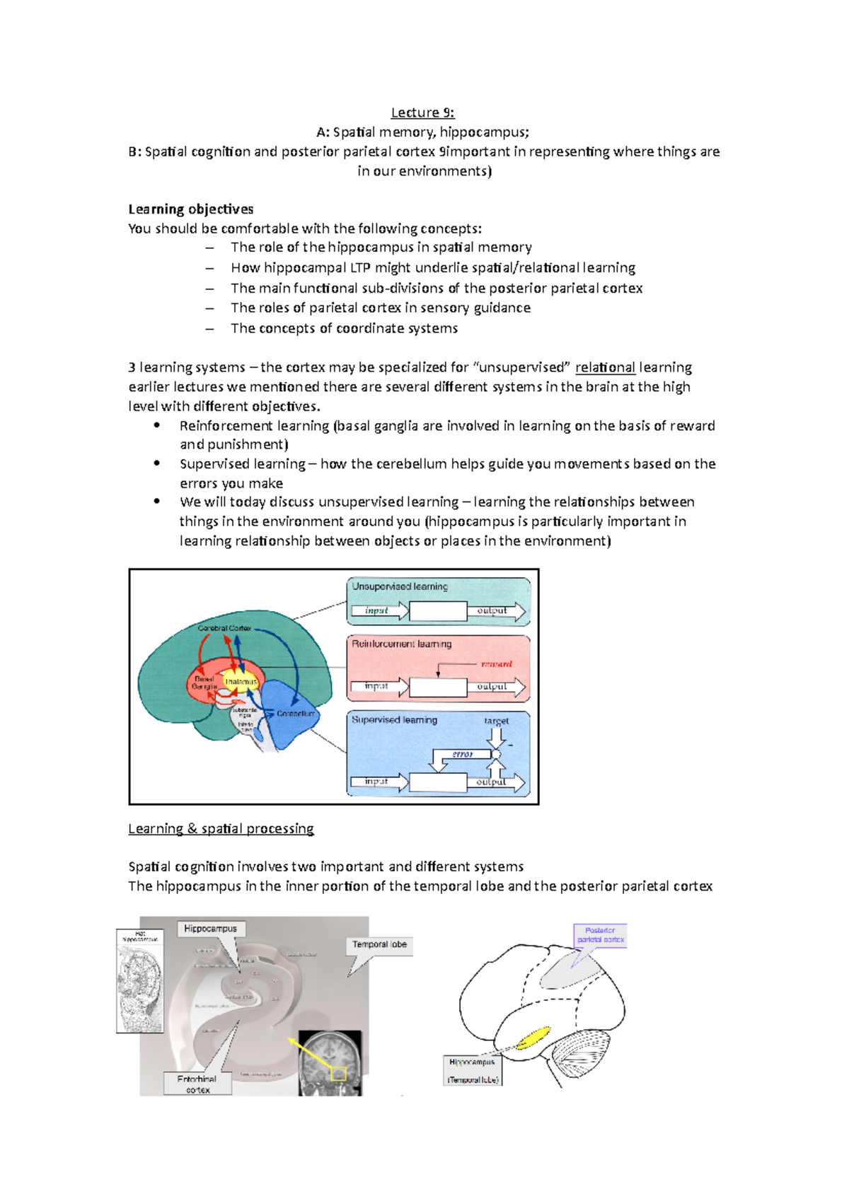 Lecture 9 - Neural Basis of Movement - Lecture 9: A: Spatial memory, B ...