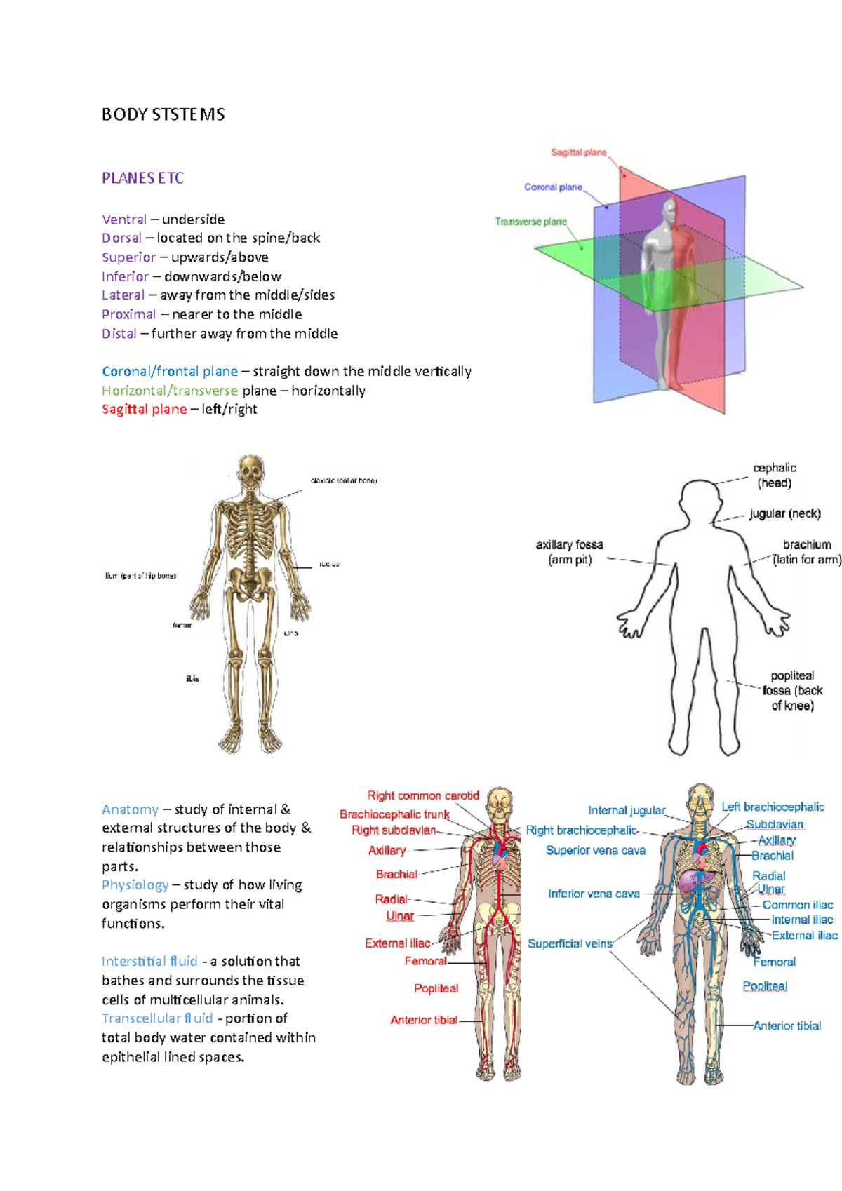 Summary - lectures 1-22, complete - keywords and summary - BODY STSTEMS ...