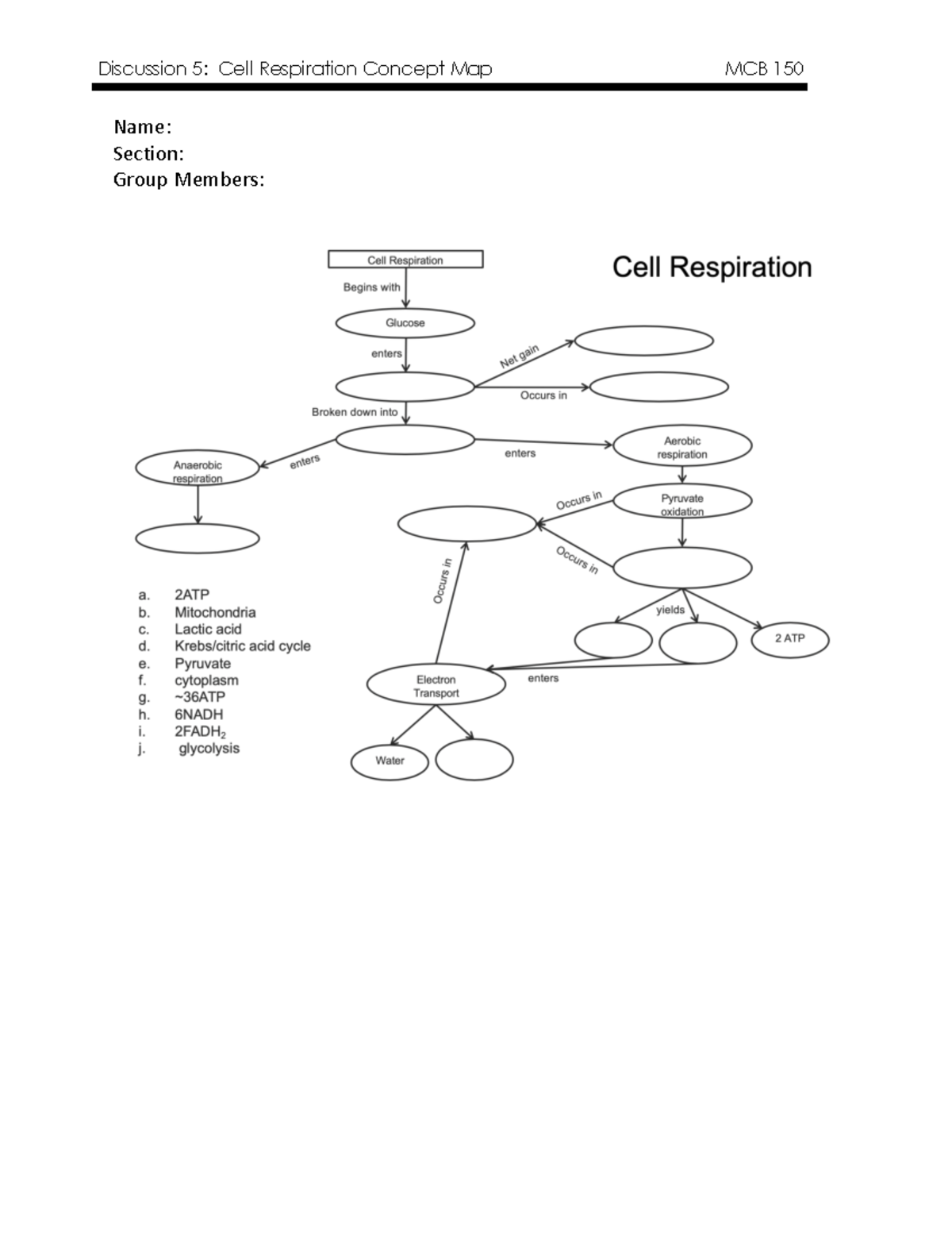 Cell Respiration Map Student - MCB 150 - Discussion 5 : Cell ...
