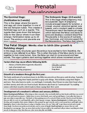 Human Development - assignments and coursework - Human Development NAME ...
