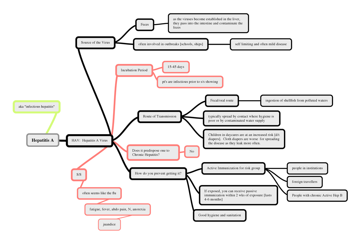 Hep A Mindmap - hep a mind map - Hepatitis A HAV: Hepatitis A Virus ...
