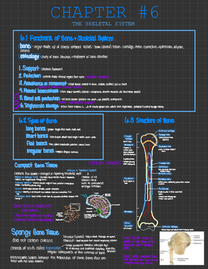 Chapter 10: Central Nervous System, Spinal Nerves, and Cranial Nerves ...