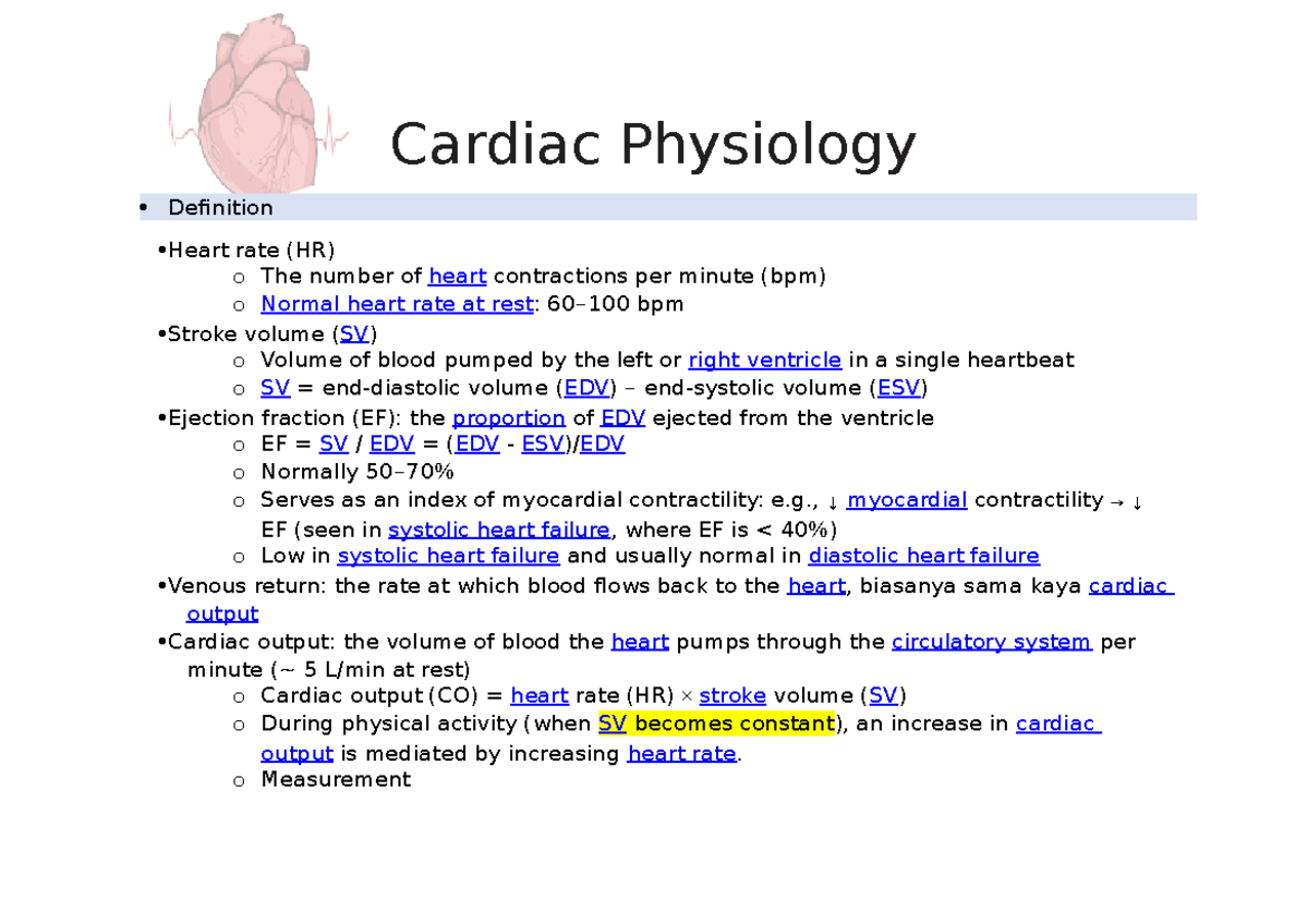 Cardiac Physiology - Cardiac Physiology Definition Heart rate (HR) o ...