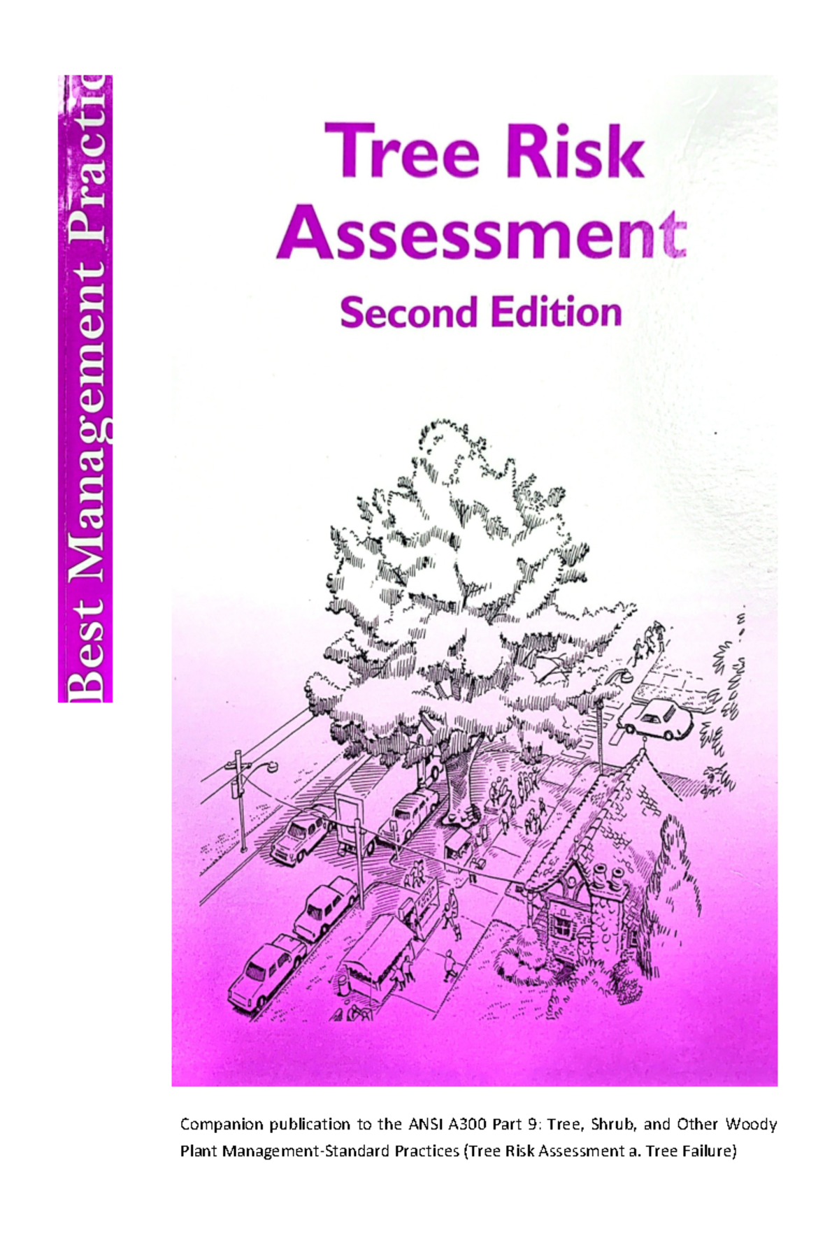 Tree Risk Assessment - material de apoyo - Companion publication to the ...
