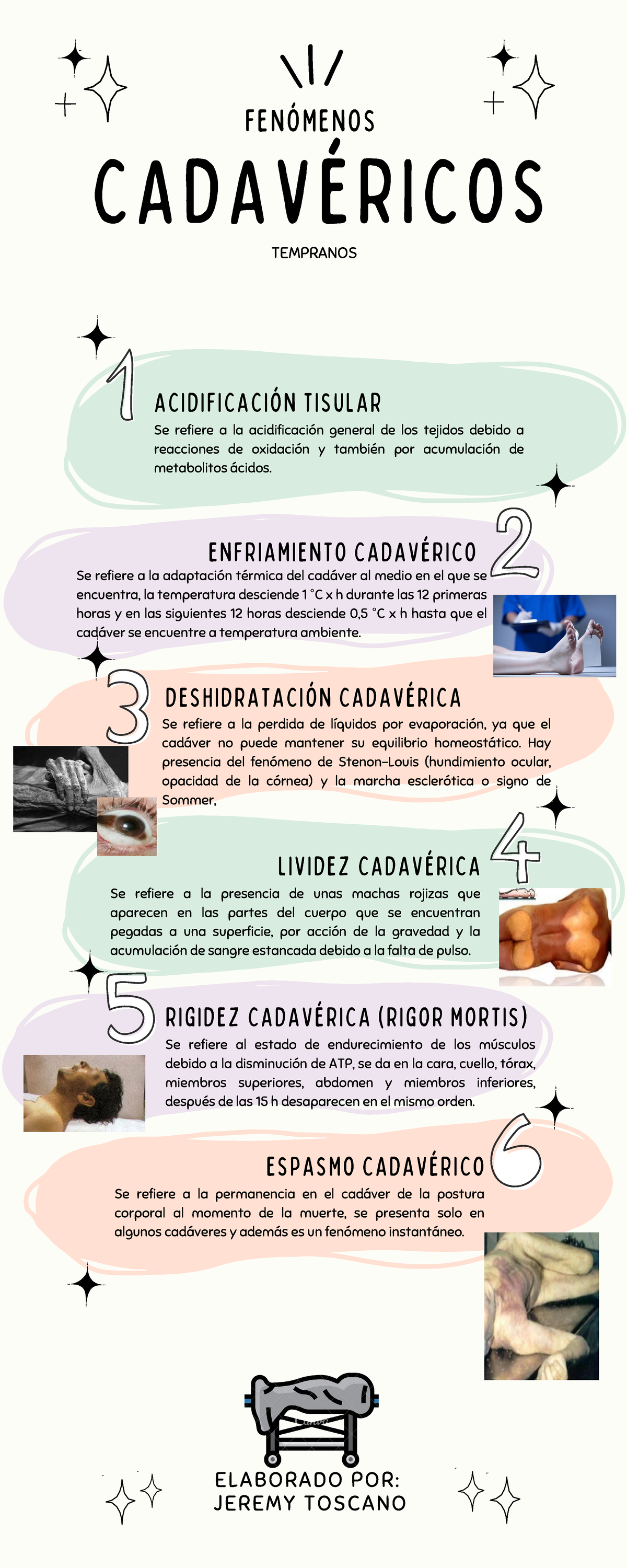 Fenómenos Cadavéricos - ELABORADO POR: JEREMY TOSCANO Se refiere a la ...