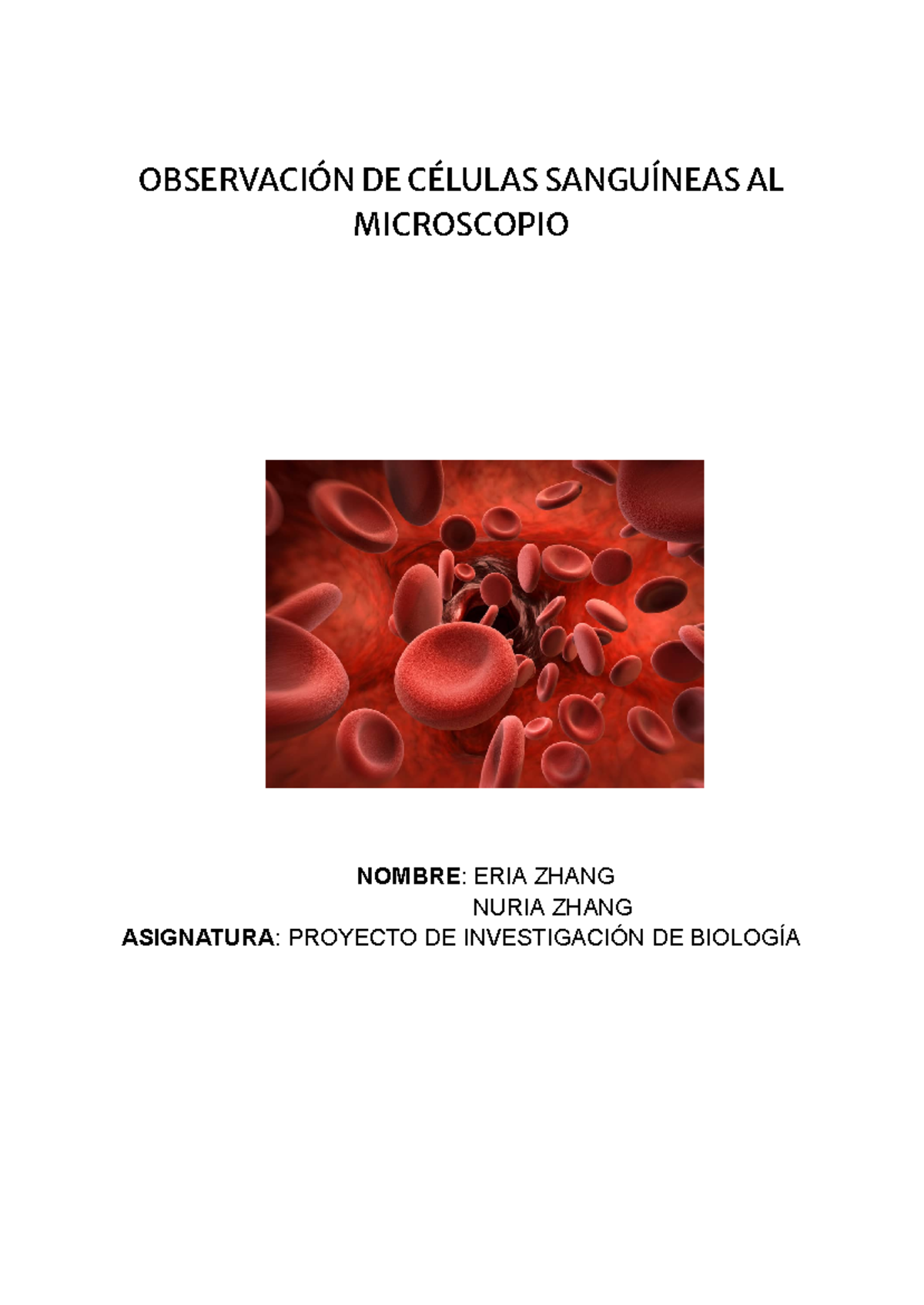 Observación DE Células Sanguíneas AL Microscopio - OBSERVACIÓN DE ...