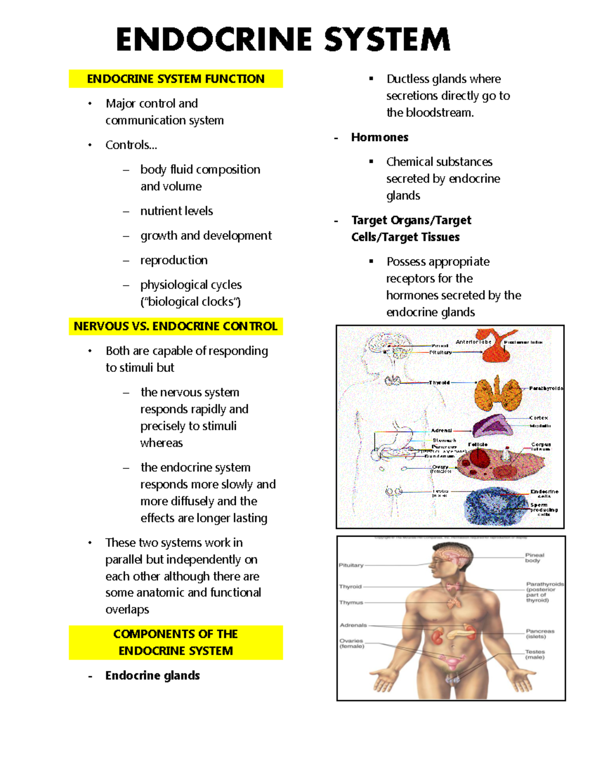 Endocrine System Notes - ENDOCRINE SYSTEM FUNCTION Major control and ...