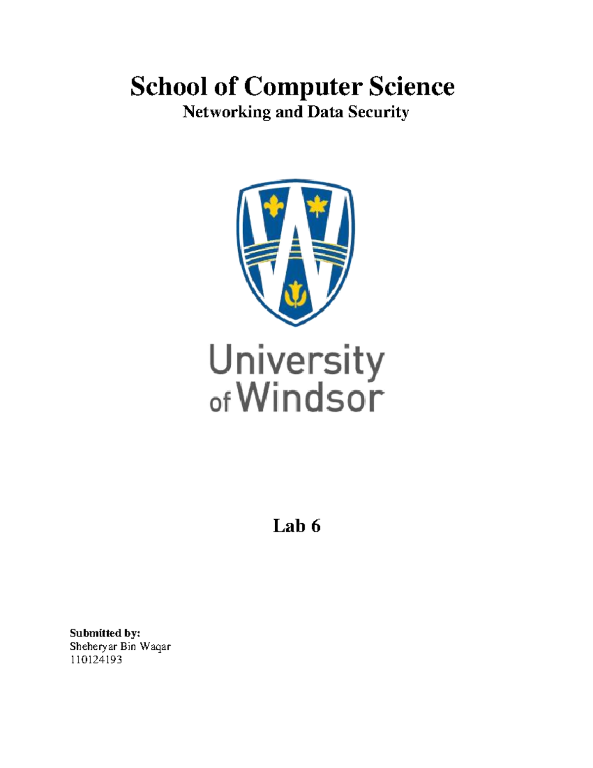 NDS Lab Assignment 6 Sheheryar Bin Waqar 110124193 - School of Computer Science Networking and ...
