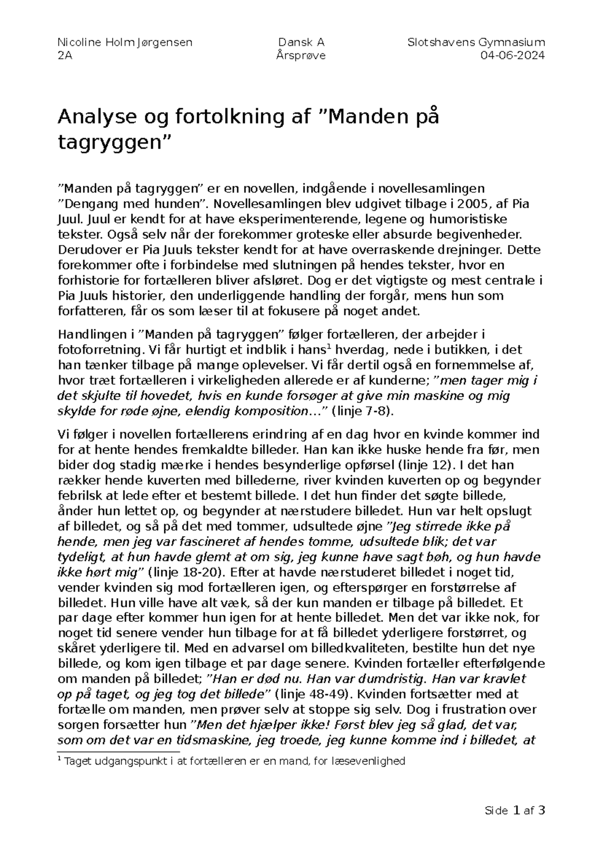 Analyse og fortolkning af Manden på tagryggen - Nicoline Holm Jørgensen Dansk A Slotshavens ...