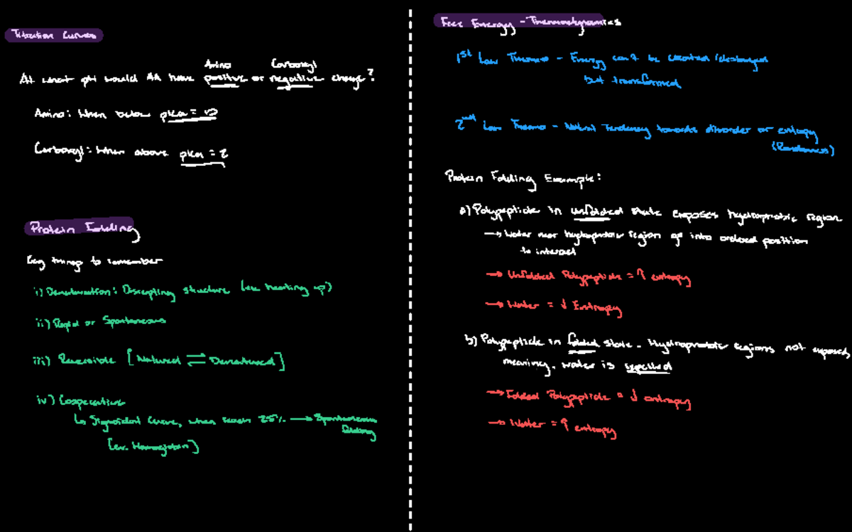 BMSC 200 Midterm Topics and Figure Explanations - Free Energy ...