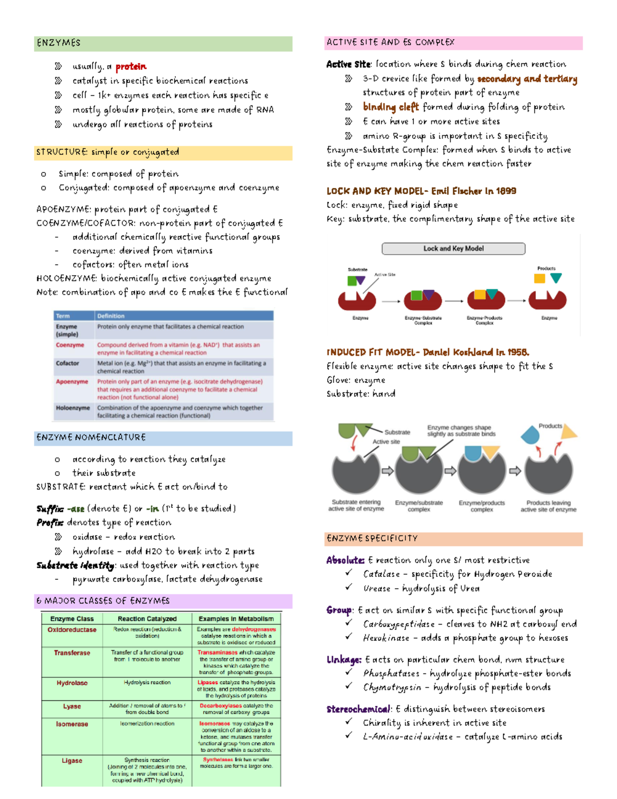 Biochem Enzyme Activity at Brayden Hervey blog