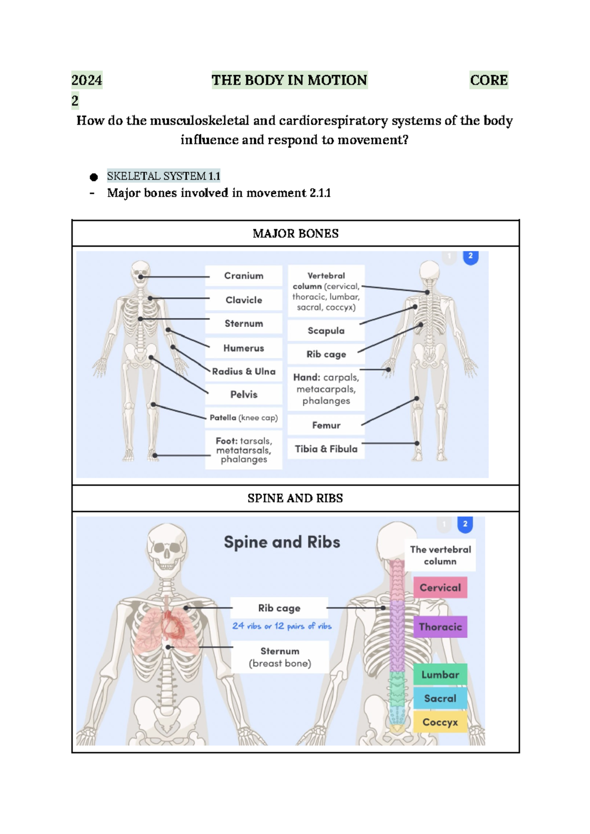 CORE 2 - Pdhpe Study Notes - 2024 THE BODY IN MOTION CORE 2 How do the ...