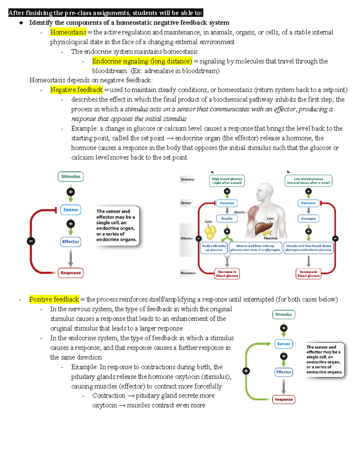 Components and Functions of Homeostatic Negative Feedback System - Studocu