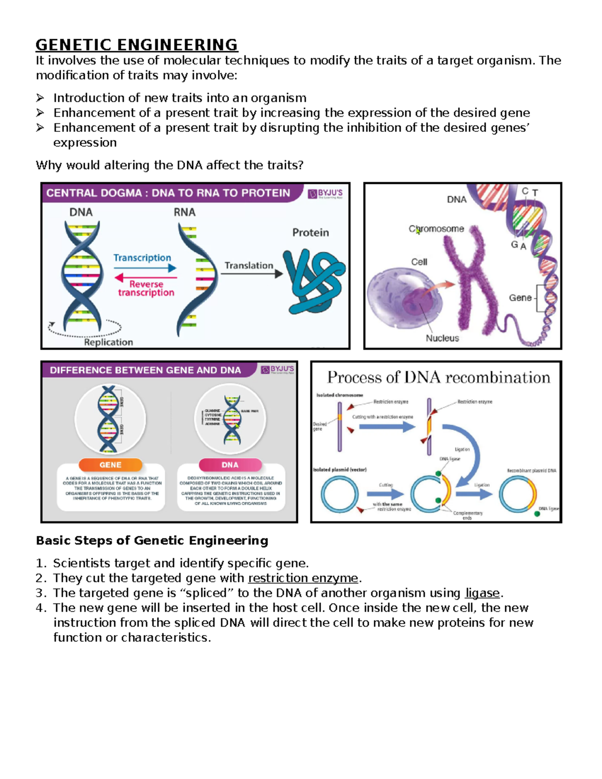 General Biology - Q3 Lesson 1 Genetic Engineering - GENETIC ENGINEERING ...