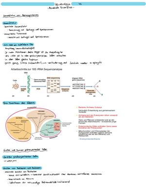 Mikrobiologie VL 4 Funktion der Prokaryotischen Zelle - Mikrobiologie v ...