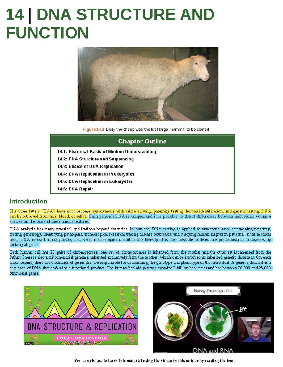 DNA Structure and Function - 14 | DNA STRUCTURE AND FUNCTION Figure 14 ...