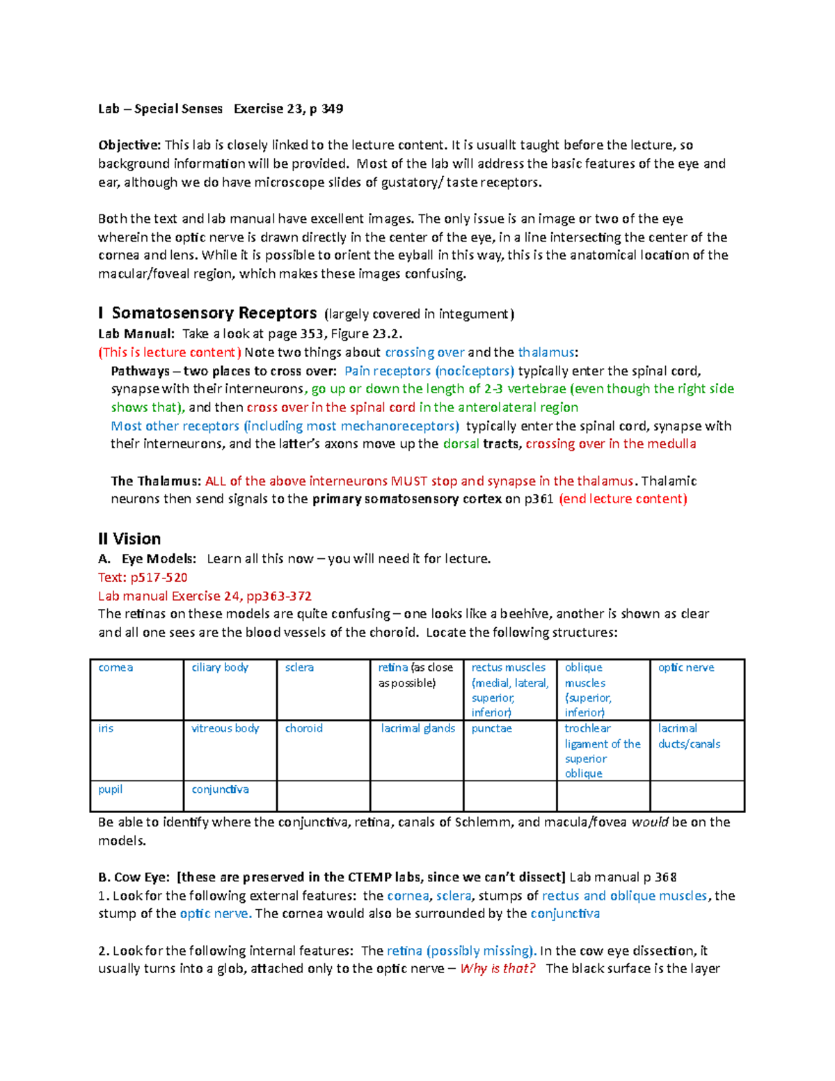 07 Special Senses Lab Ctemp Version - Lab – Special Senses Exercise 23 ...